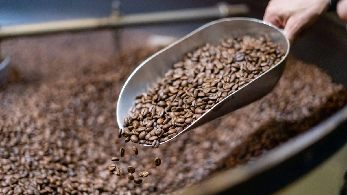 Unveiling the Art of Coffee Roasting: A Dive into Reading Coffee's Roa ...
