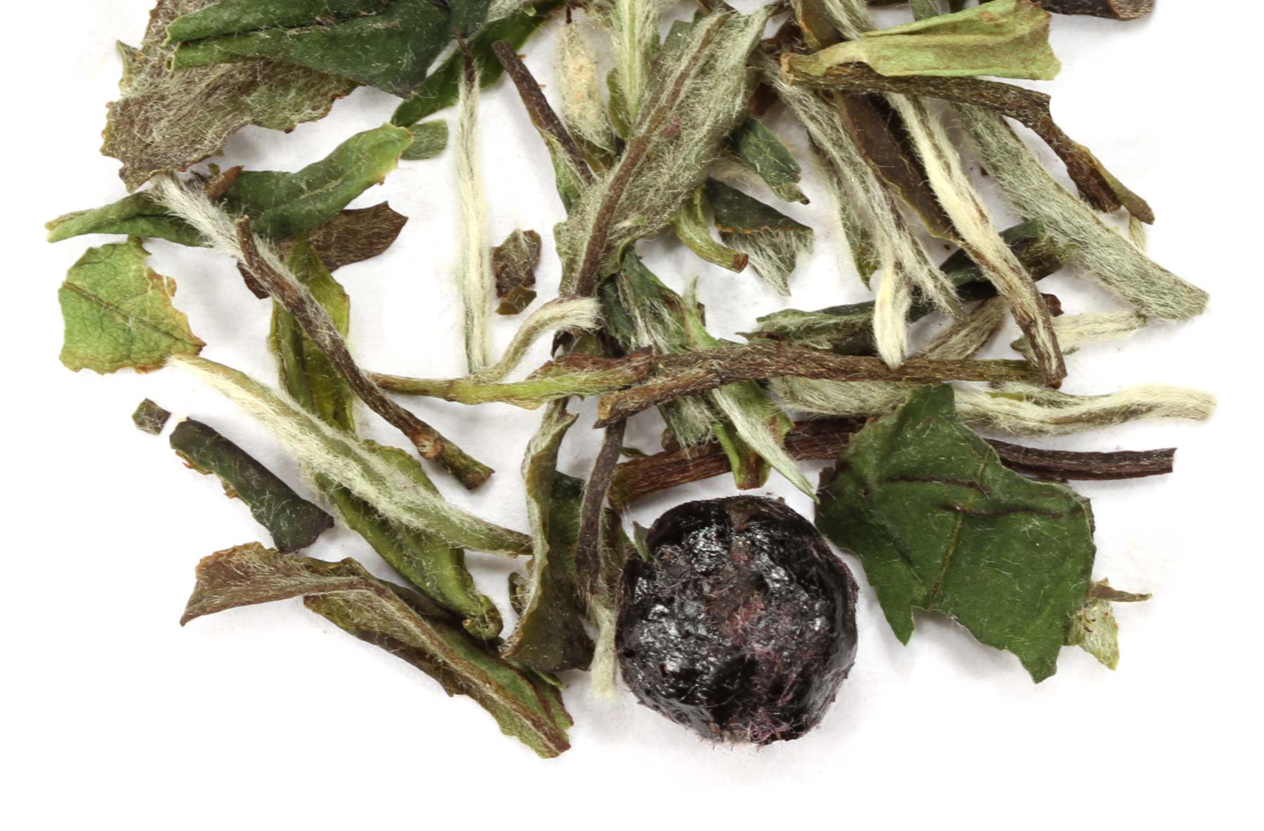 White Blueberry – Reading Coffee Company